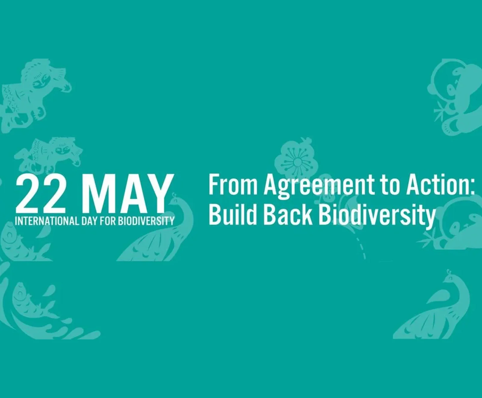 International Day for Biological Diversity “From Agreement to Action ...