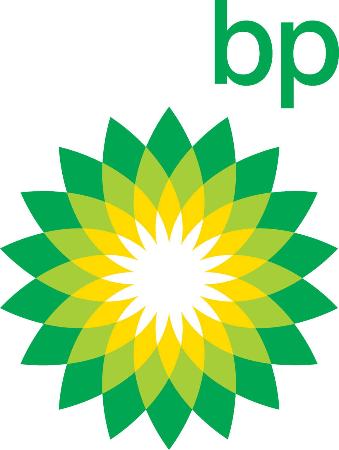 The World Business Council for Sustainable Development (WBCSD)
