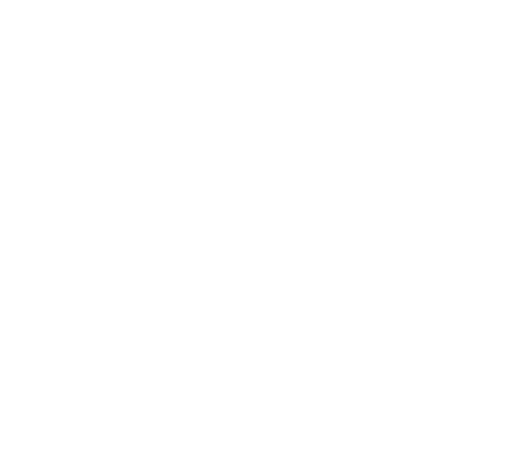 FIBS – WBCSD
