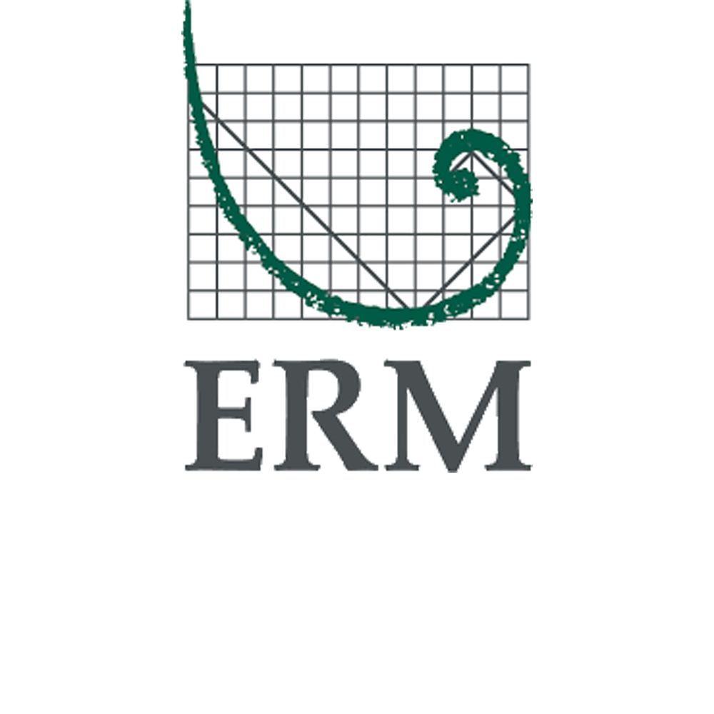 The NCS Investment Accelerator | WBCSD