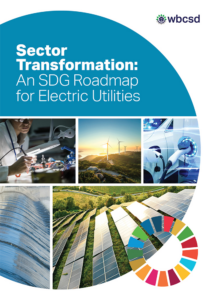 SDG Sector Roadmaps | WBCSD