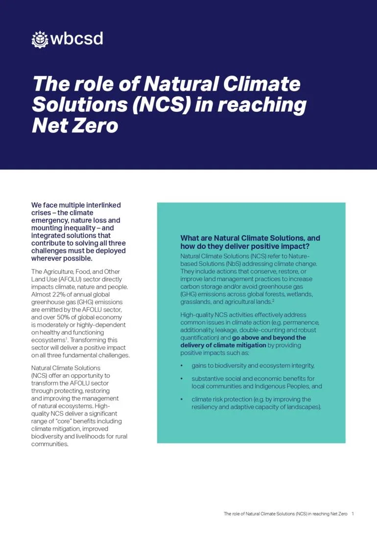Carbon Standards for Natural Climate Solutions (NCS) Credits | WBCSD