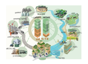 Exploring nature positive buildings | WBCSD