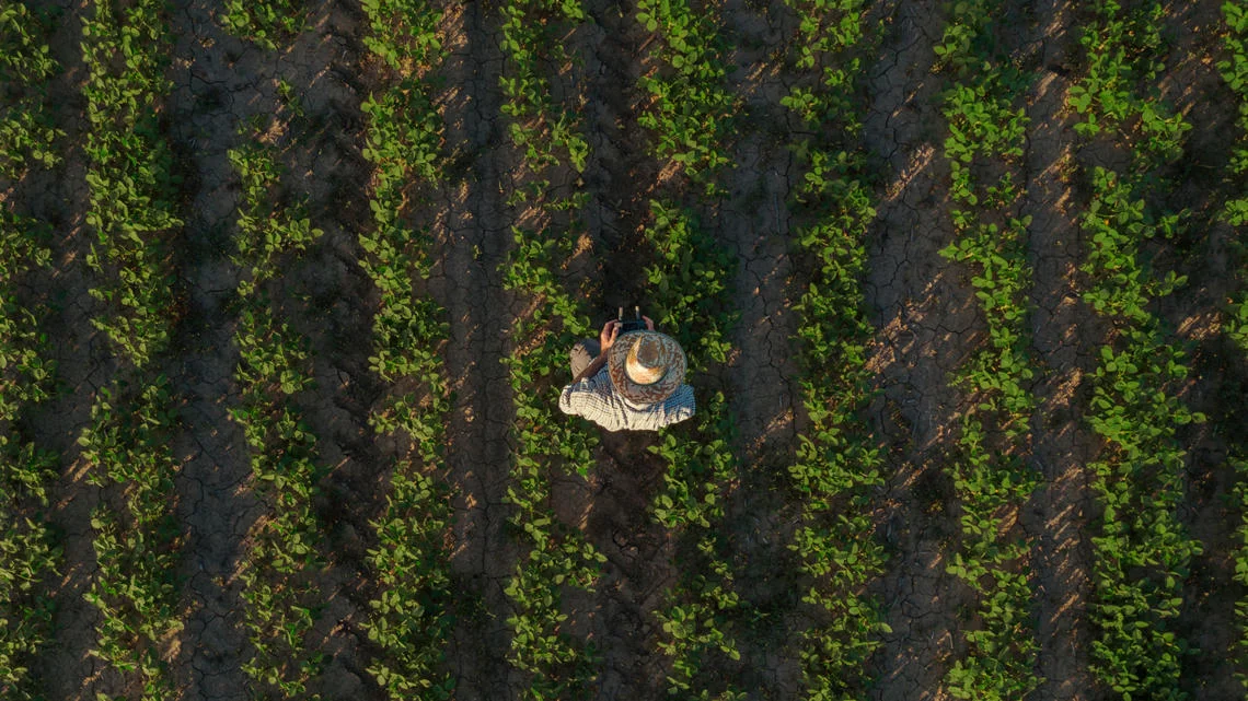 Cultivating Change: Preliminary Lessons of the Farmer First Clusters ...