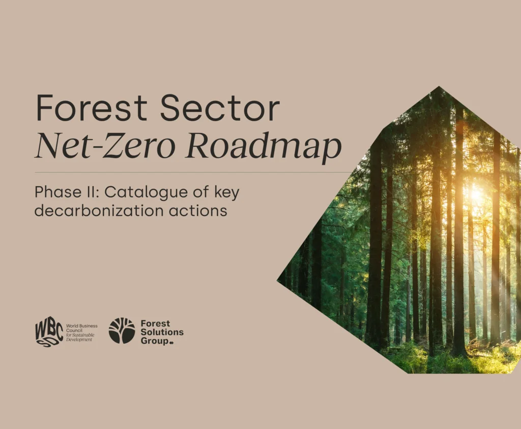 Forest Solutions Group (FSG) | WBCSD