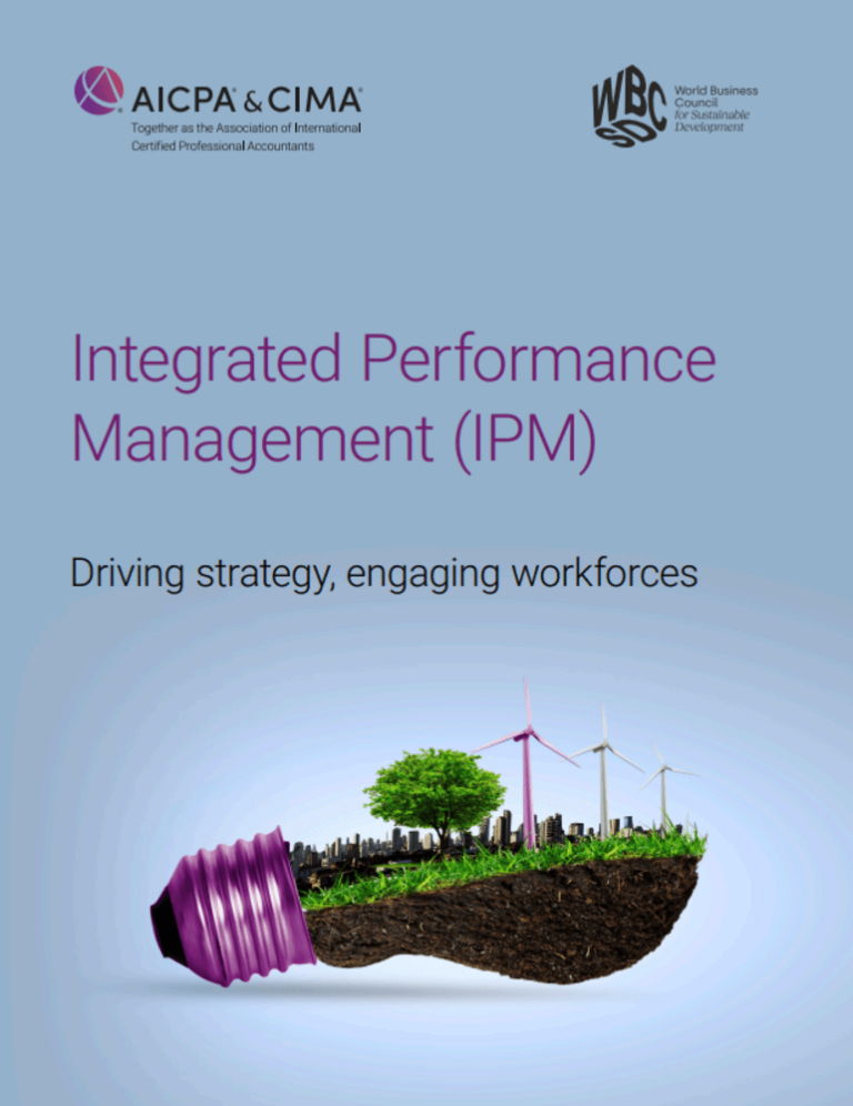 Primer on Integrated Performance Management | WBCSD