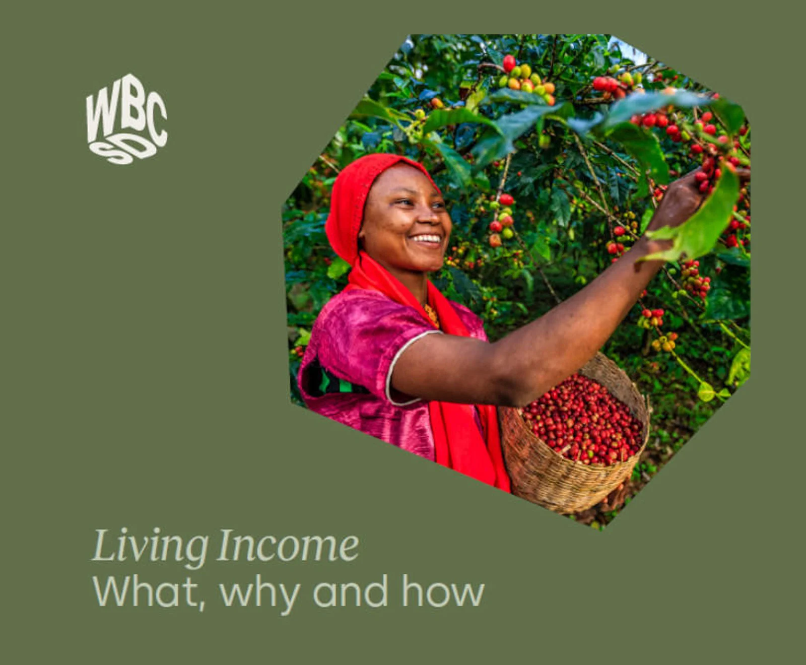 Living Income: what, why and how | WBCSD