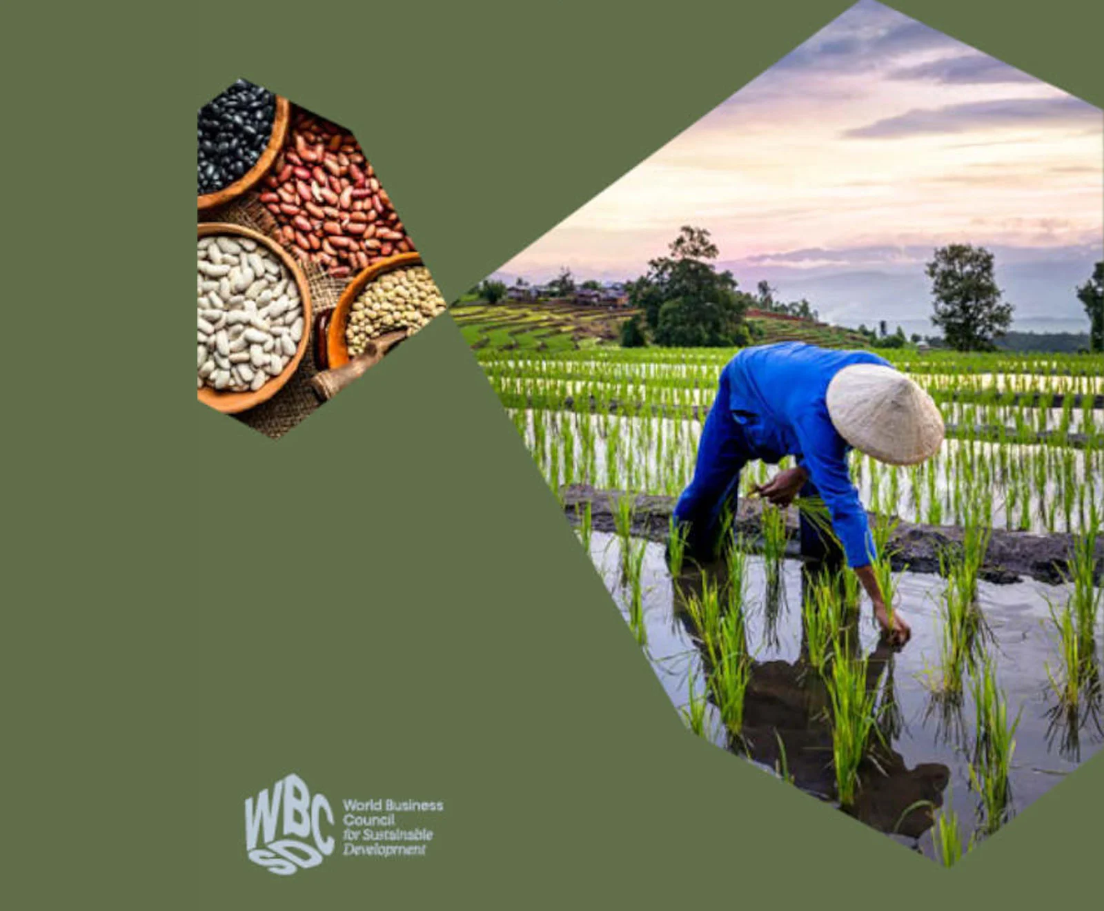 The Business Case for Scope 3 GHG Action in Agriculture & Food Value Chains | WBCSD