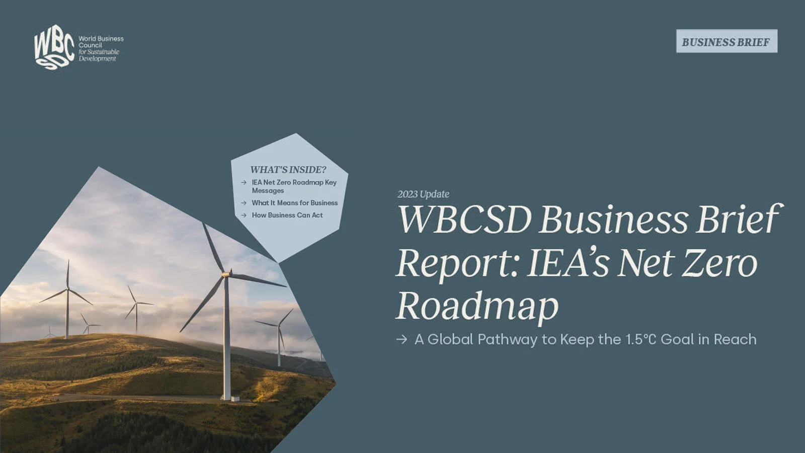 WBCSD Business Brief Report: IEA’s Net Zero Roadmap | WBCSD