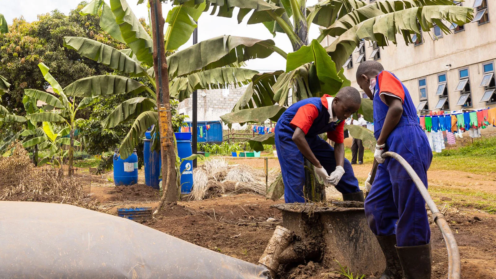 Natural Climate Solution Carbon Credits: The role of project developers and communities | WBCSD
