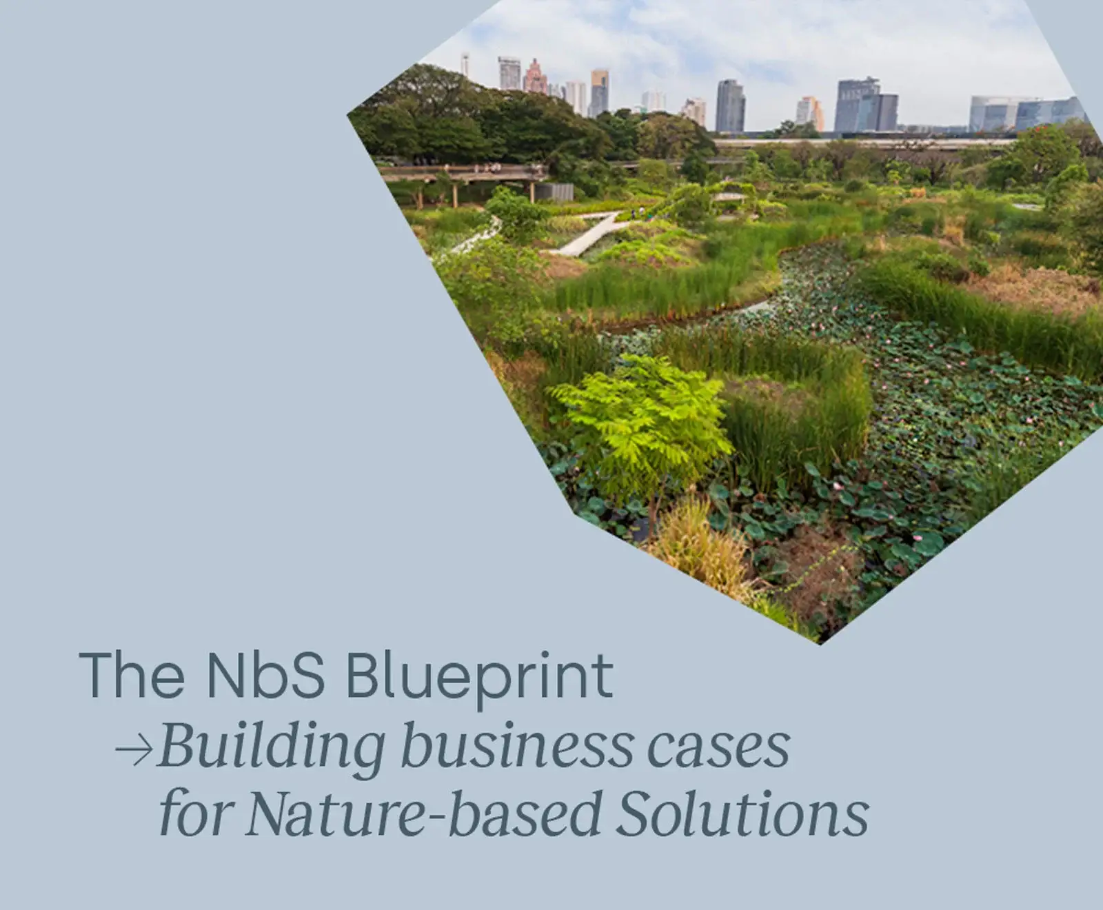 Nature-based Solutions Blueprint | WBCSD