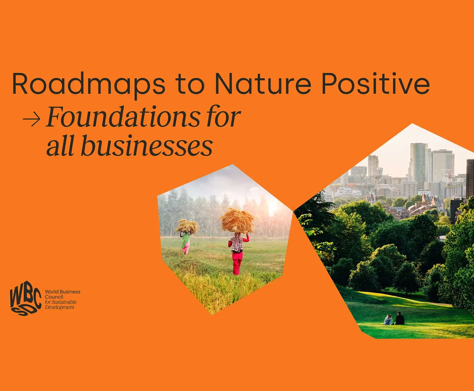 Roadmaps to Nature Positive: Foundations for all businesses | WBCSD