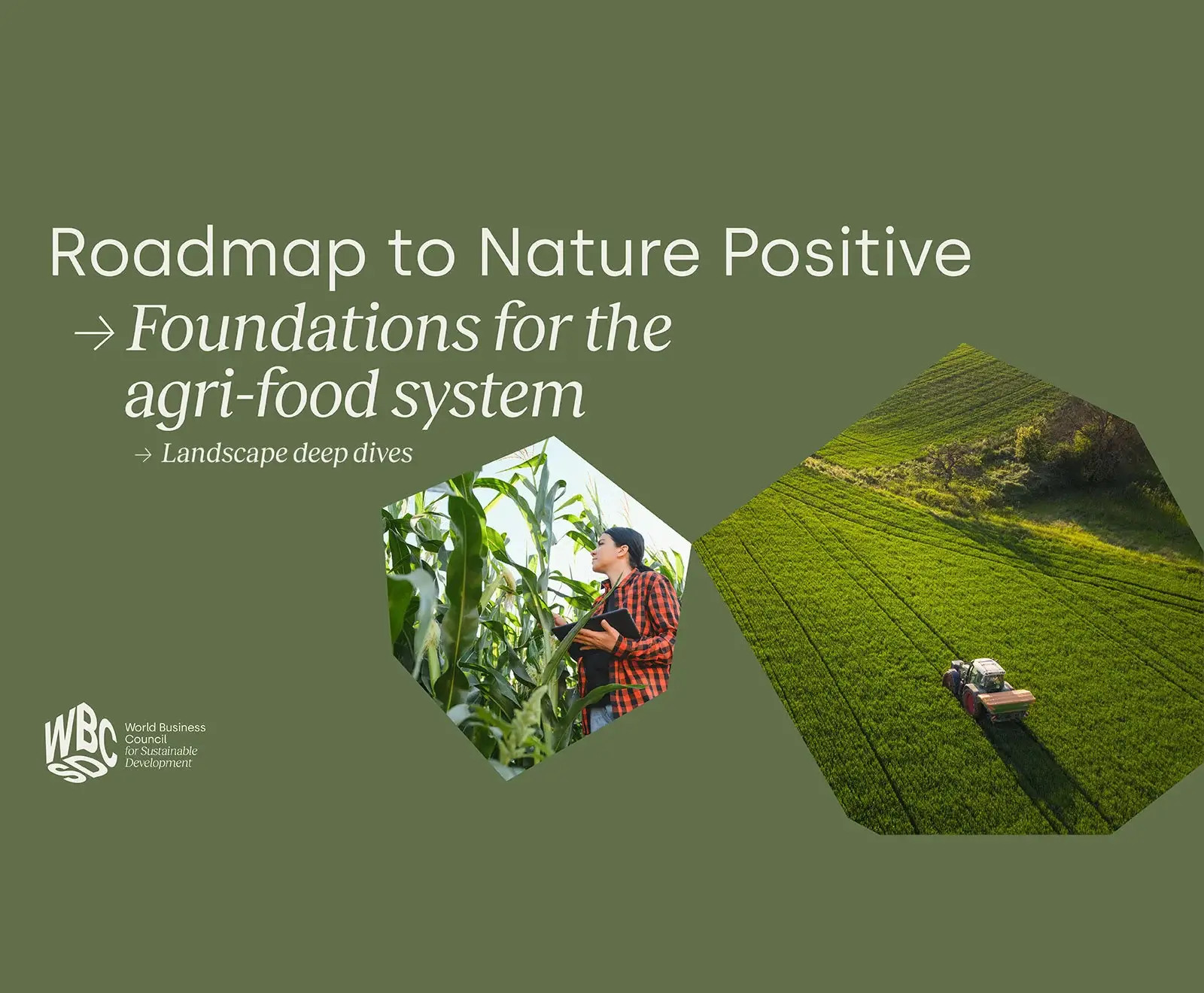 Roadmap to Nature Positive: Foundations for the agri-food system ...
