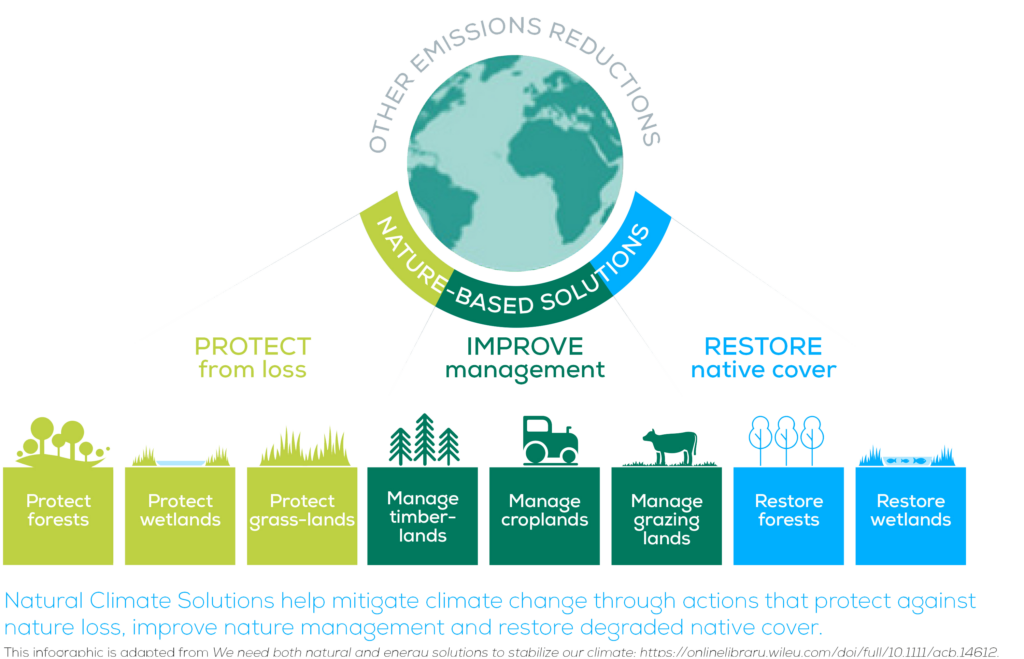 The Natural Climate Solutions Alliance (NCSA) – WBCSD