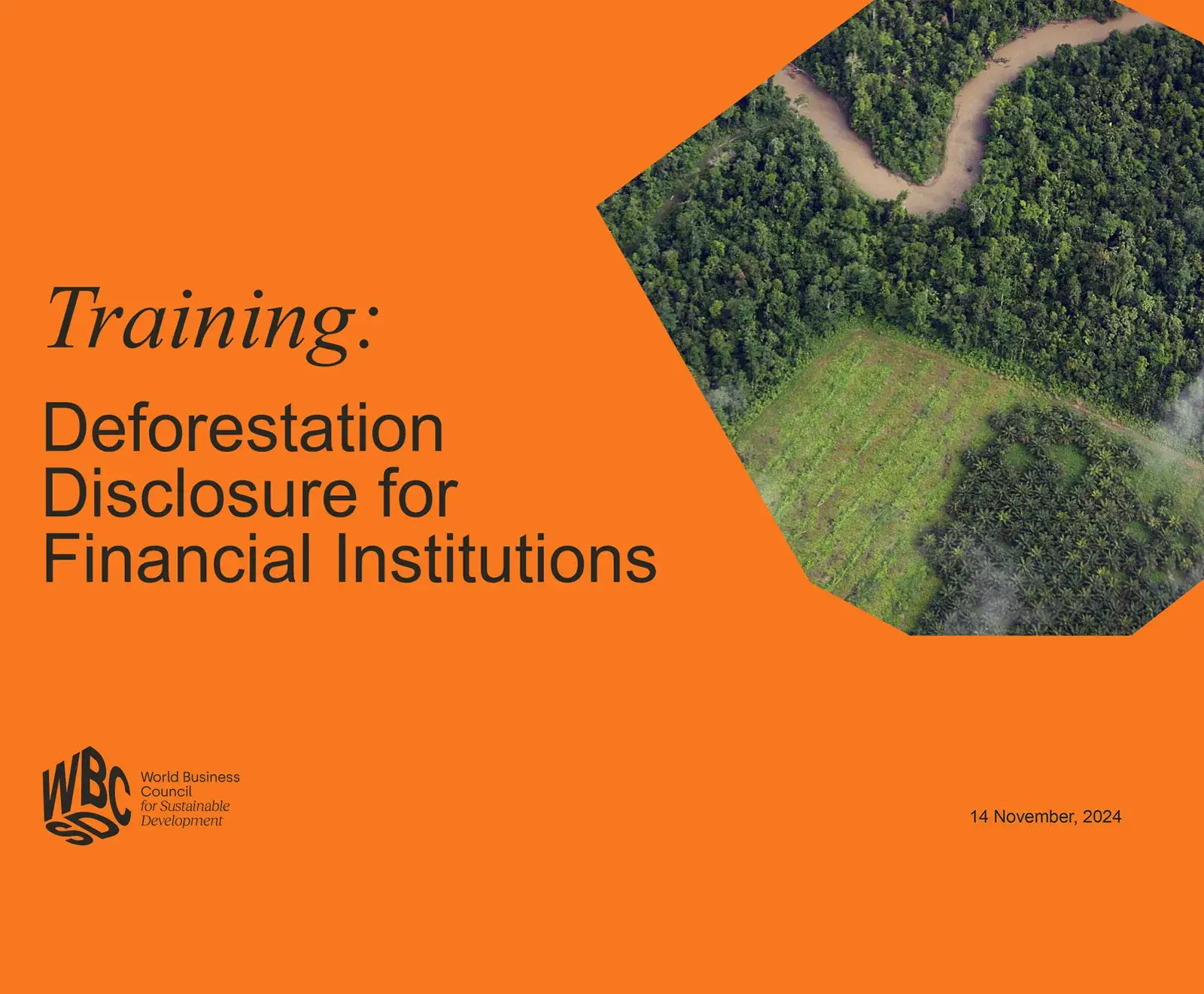 Deforestation Disclosure Training for Financial Institutions | WBCSD