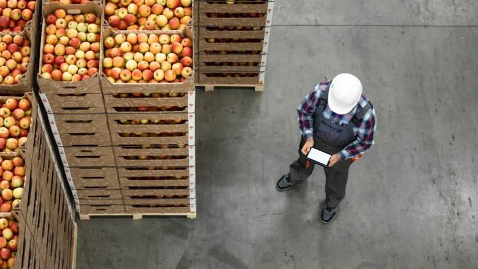 Scope 3 Navigator for Agriculture and Food | WBCSD