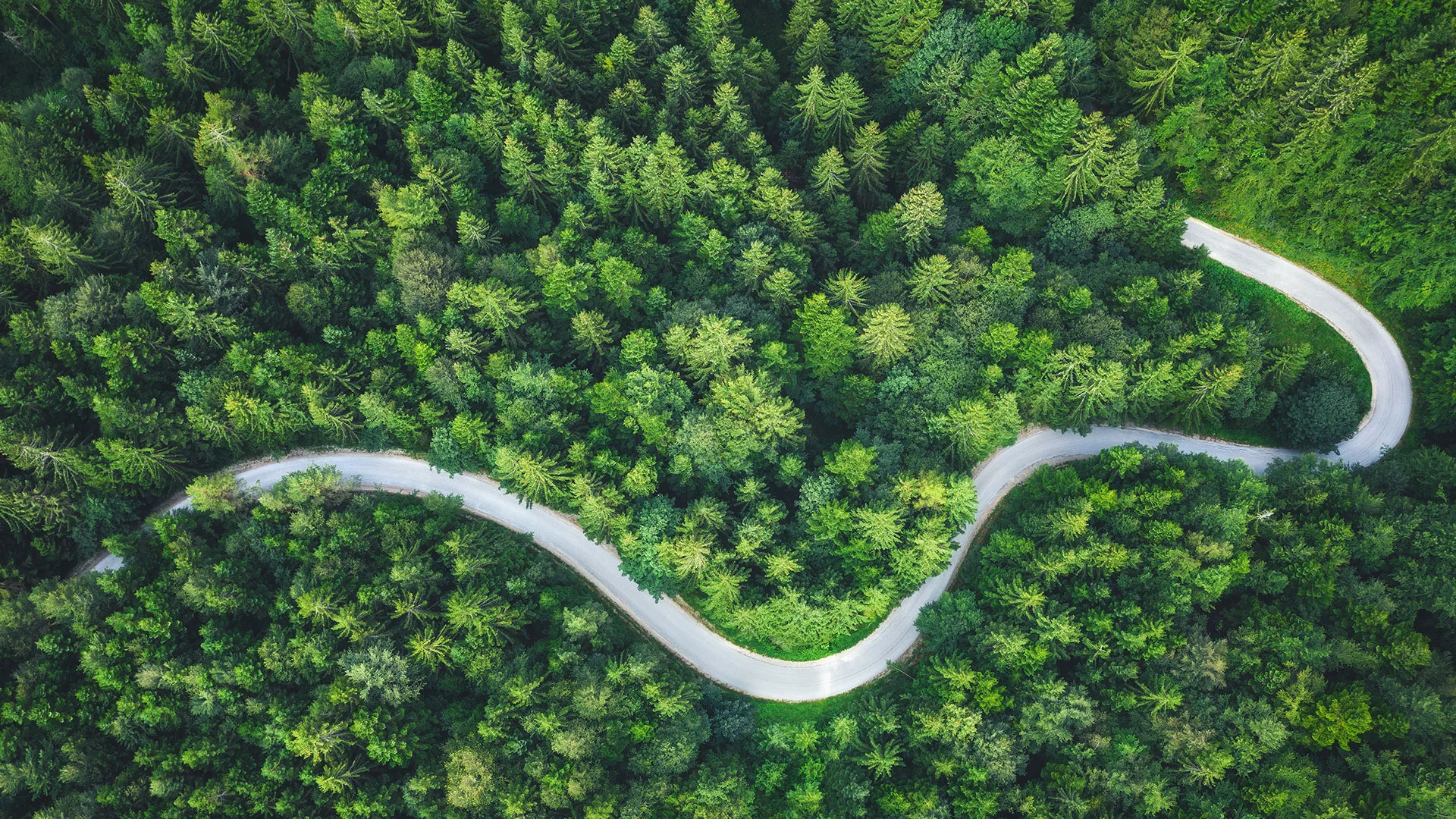 Climate Catalyst Program | WBCSD