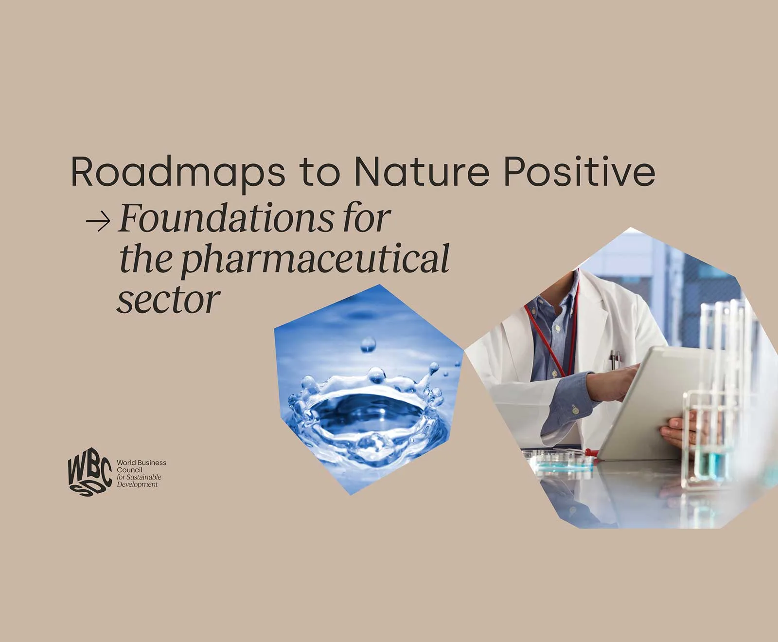Roadmaps to Nature Positive: Foundations for the pharmaceutical sector ...