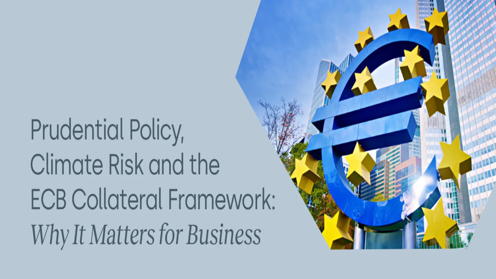 Prudential Policy, Climate Risk and the ECB Collateral Framework: Why ...